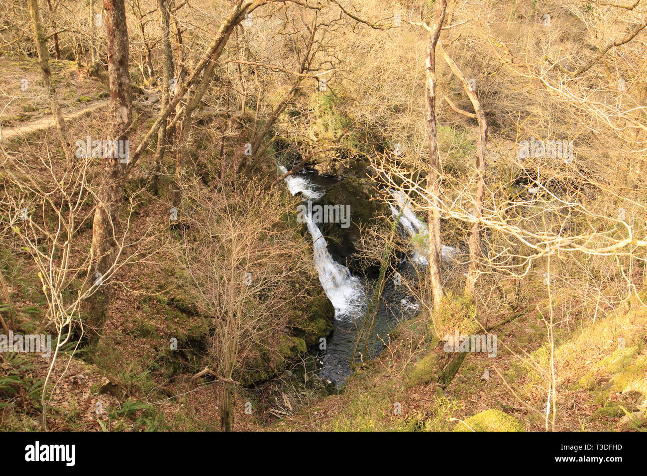 Colwith Force Lake District High Resolution Stock Photography and ...