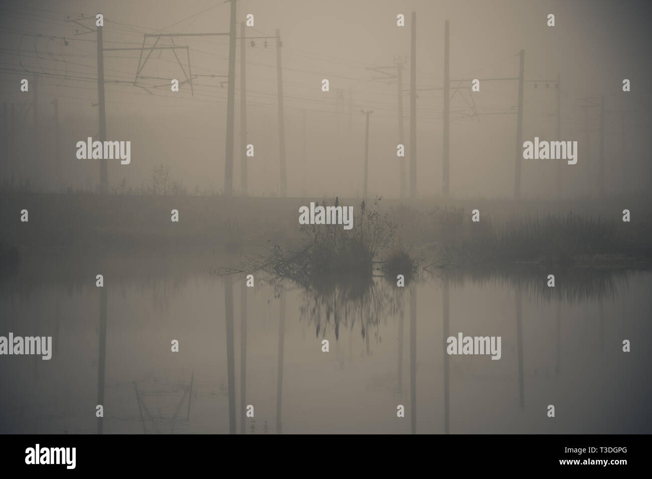 Thick morning fog over marsh hi-res stock photography and images - Alamy