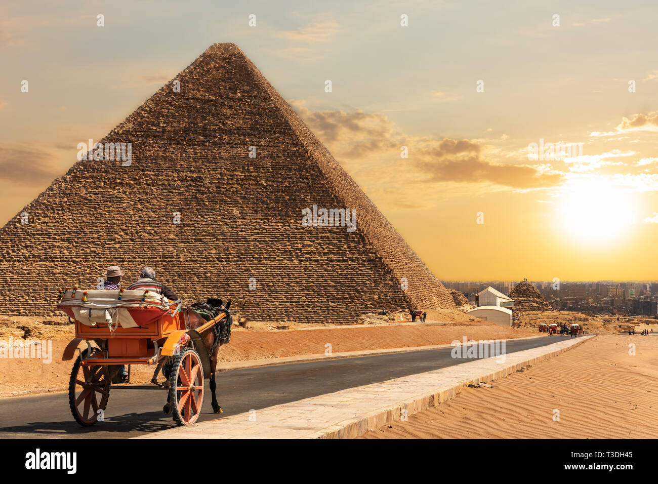 Egypt cairo giza horse cart hi-res stock photography and images - Alamy