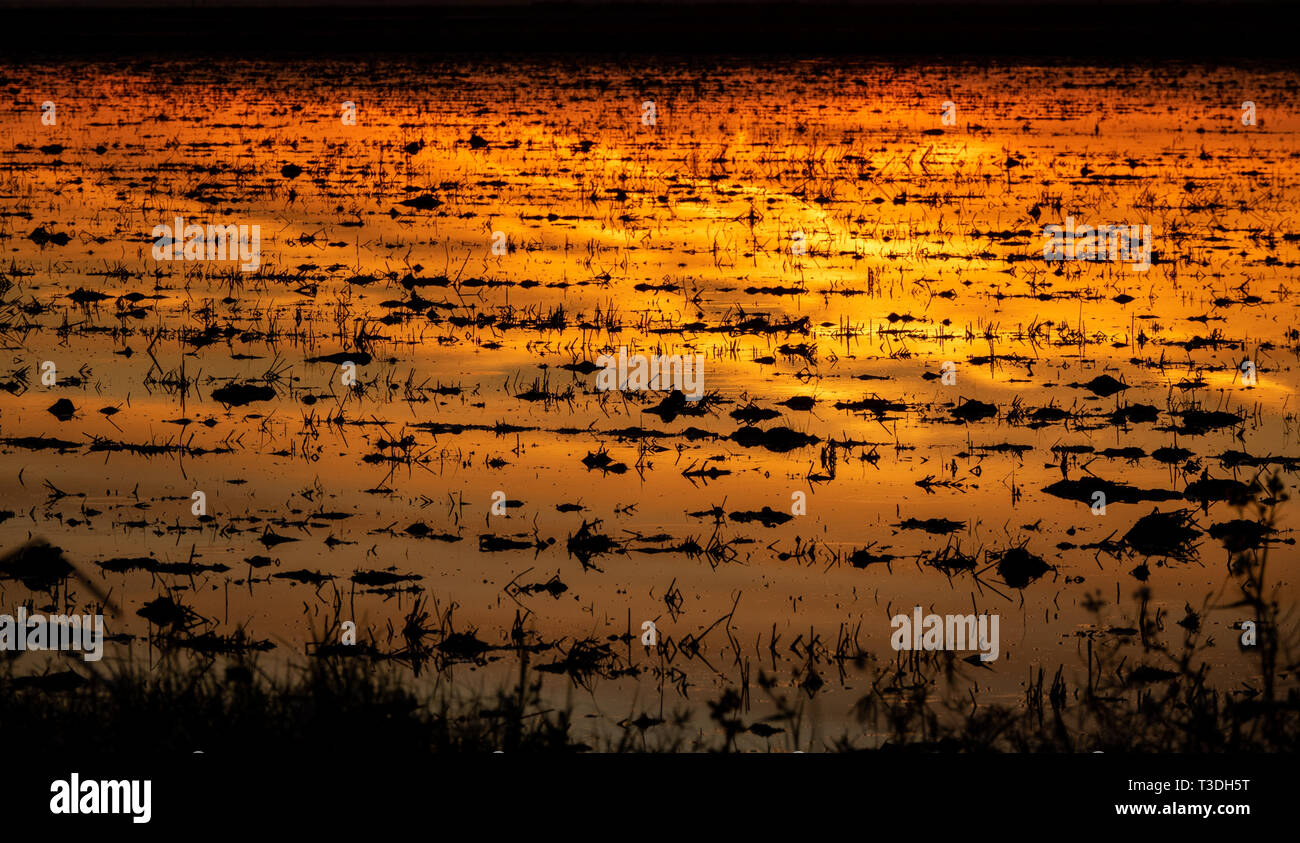 Orange colors hi-res stock photography and images - Alamy