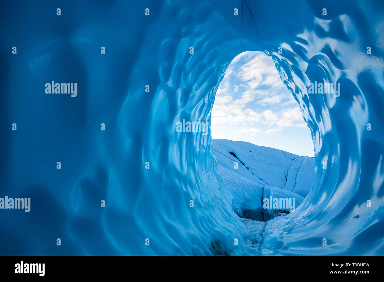 Large egg-shaped tunnel inside the ice of the Matanuska Glacier. The ...