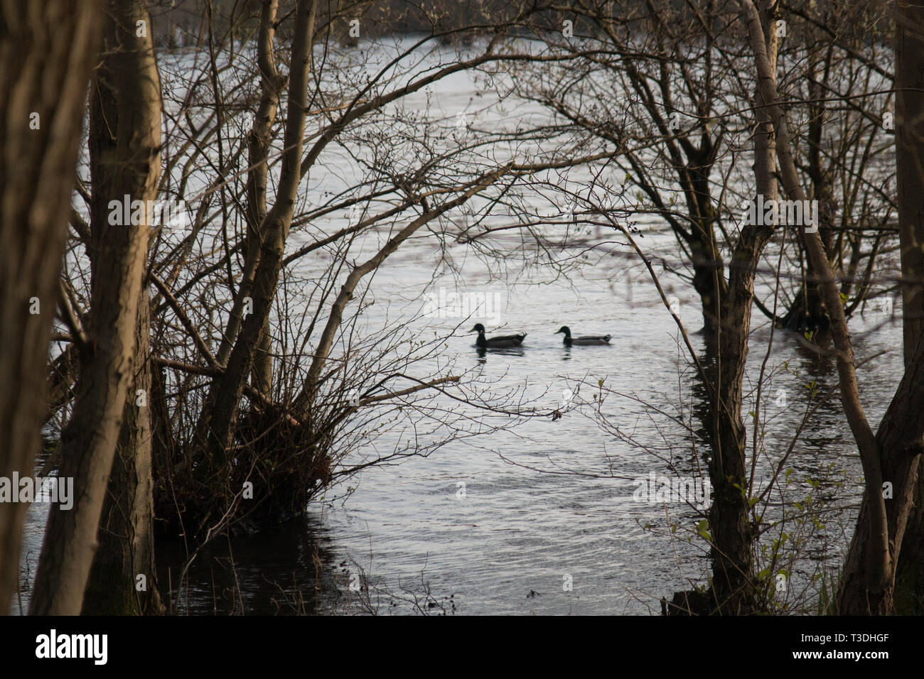 Scarpe river hi-res stock photography and images - Alamy