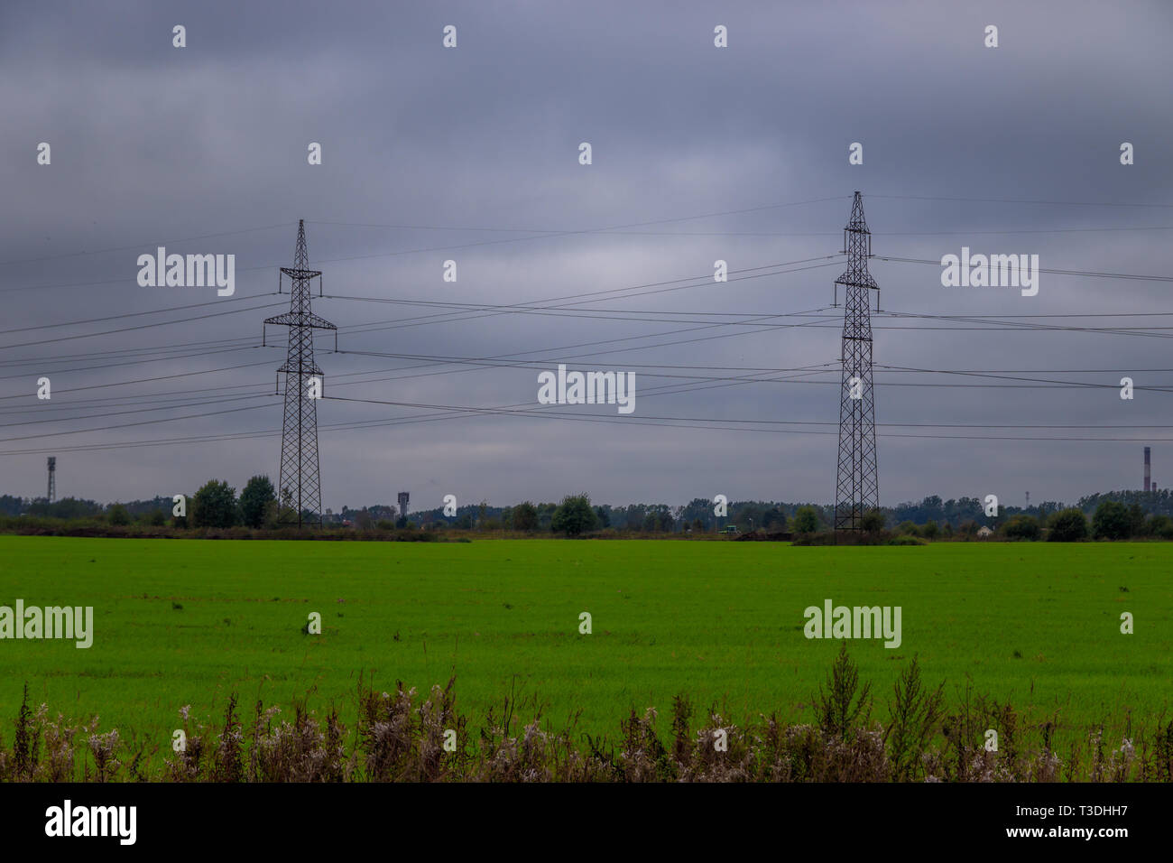 Electricity poles in the field. Electricity travels by wire. Russian ...