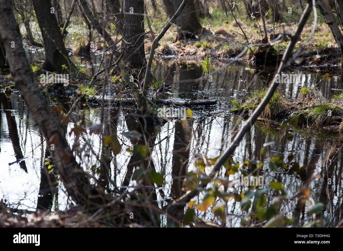 Scarpe river hi-res stock photography and images - Alamy