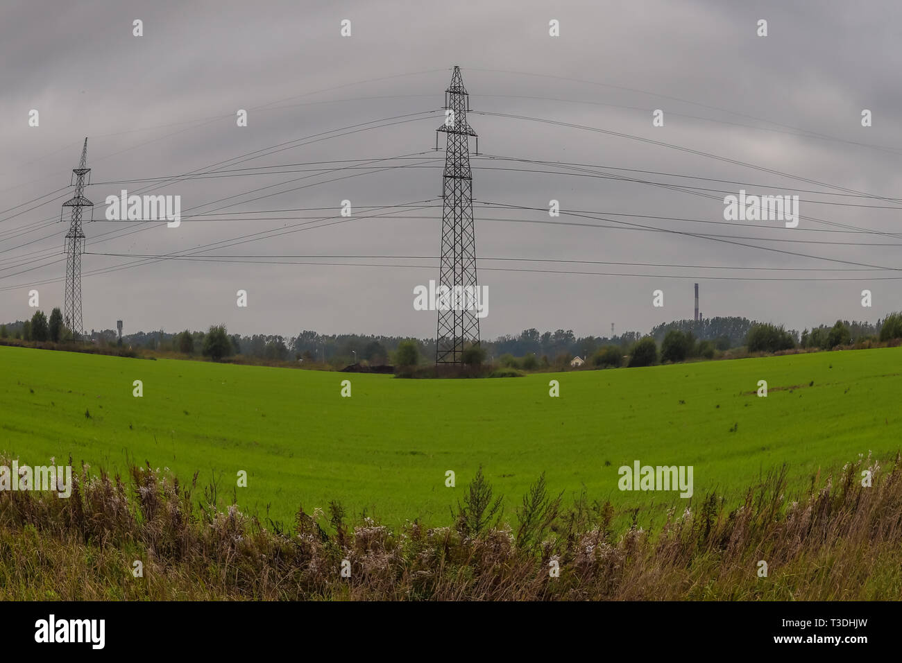 Electricity poles in the field. Electricity travels by wire. Russian ...