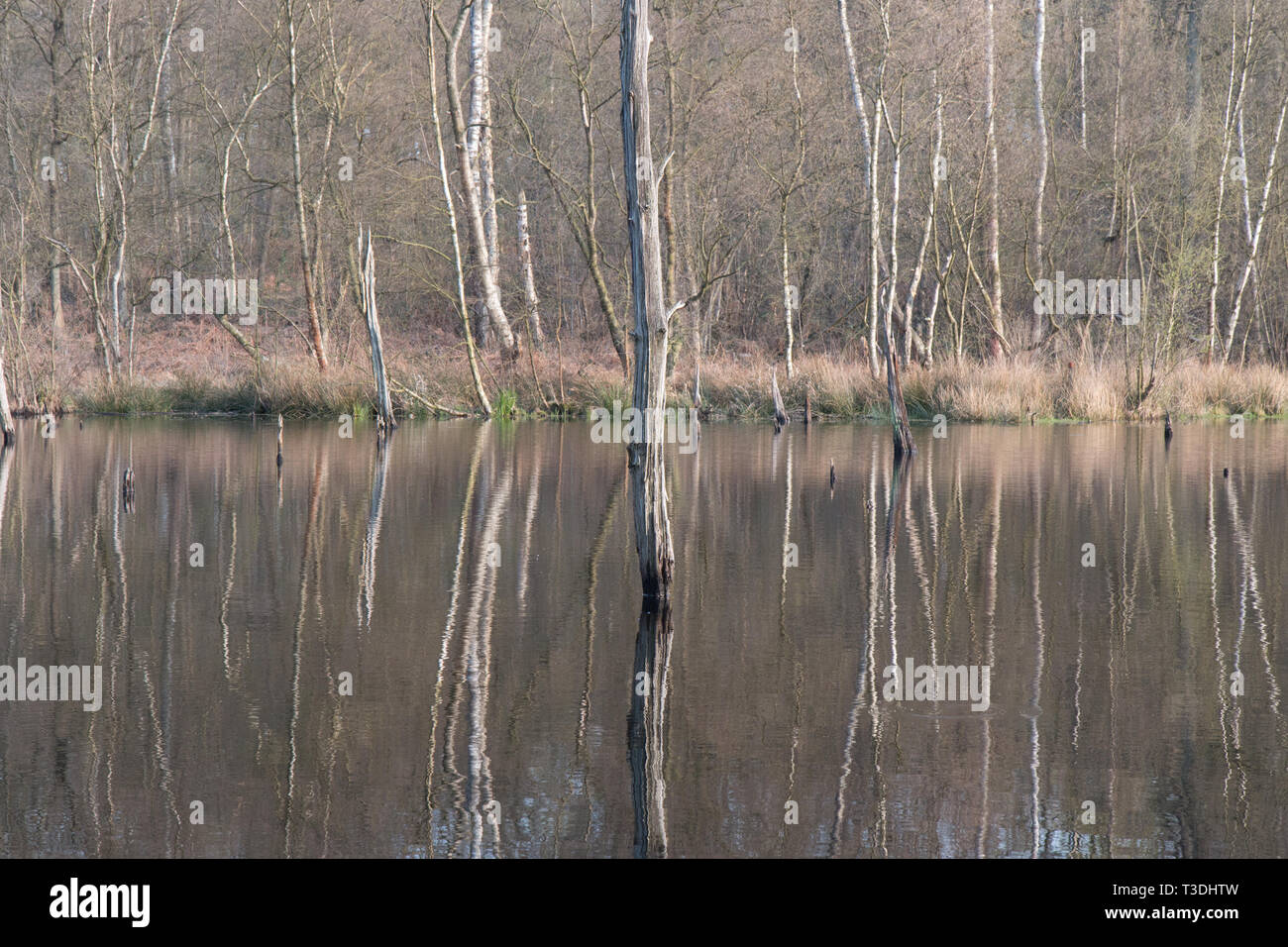 Scarpe river hi-res stock photography and images - Alamy