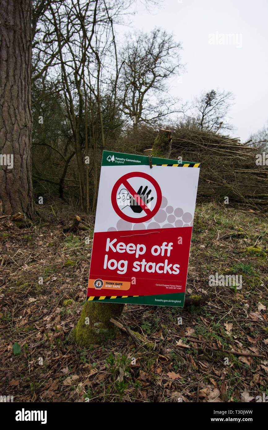 Spring In Salcey Forest High Resolution Stock Photography and Images ...