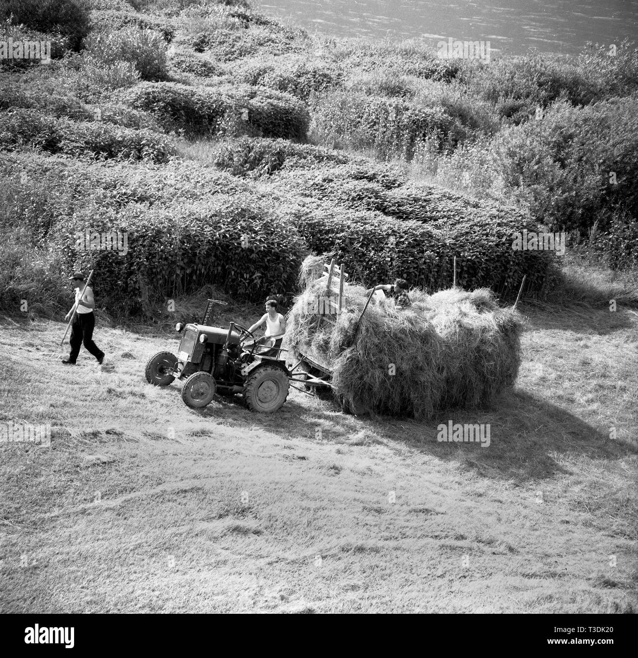Farm scene 1950s hi-res stock photography and images - Alamy