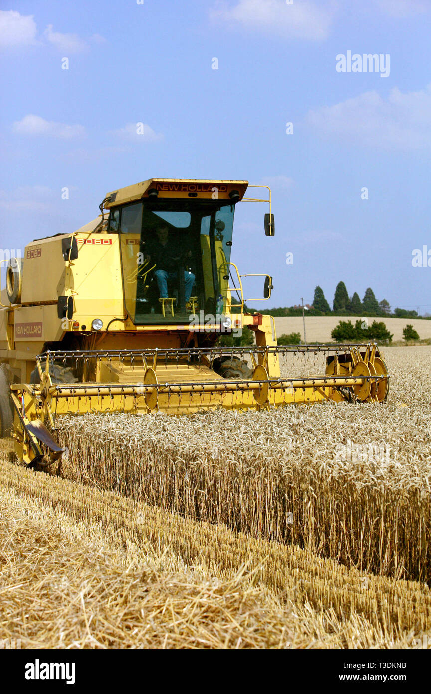 Harvest with harvester on long fields hi-res stock photography and ...
