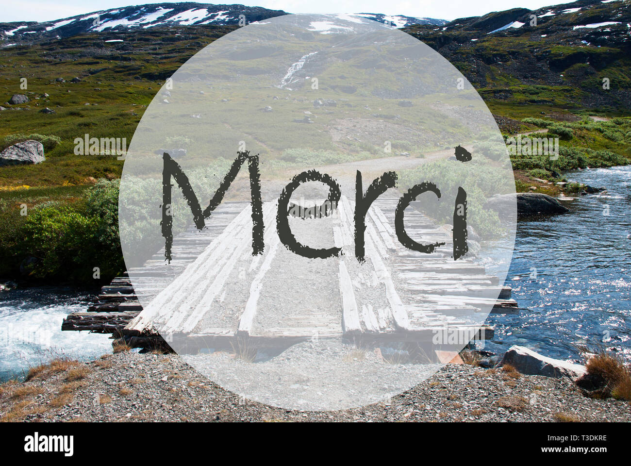 French Text Merci Means Thank You. Wooden Foot Bridge In Norway ...
