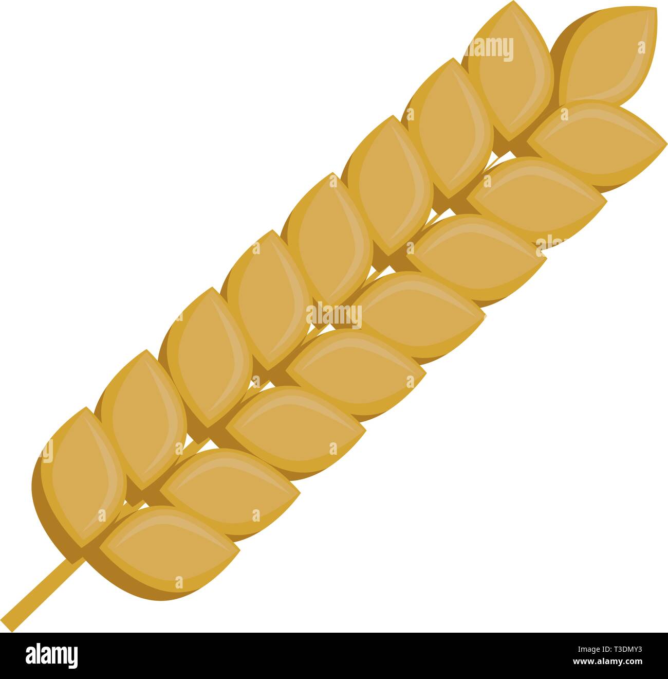 wheat spike nature icon Stock Vector Image & Art - Alamy