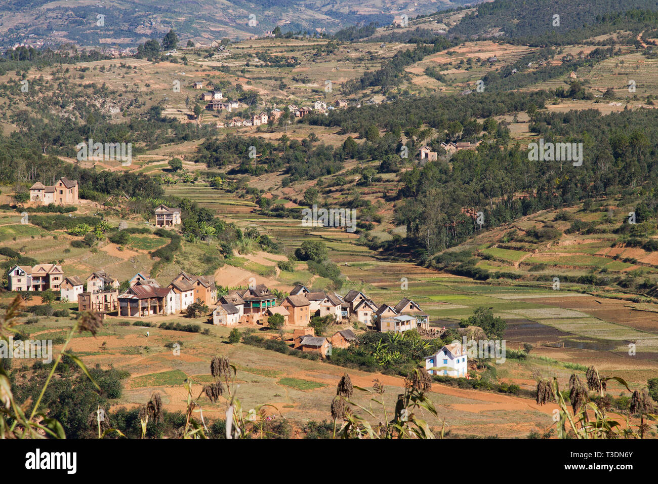 Rice terraces madagascar hi-res stock photography and images - Alamy