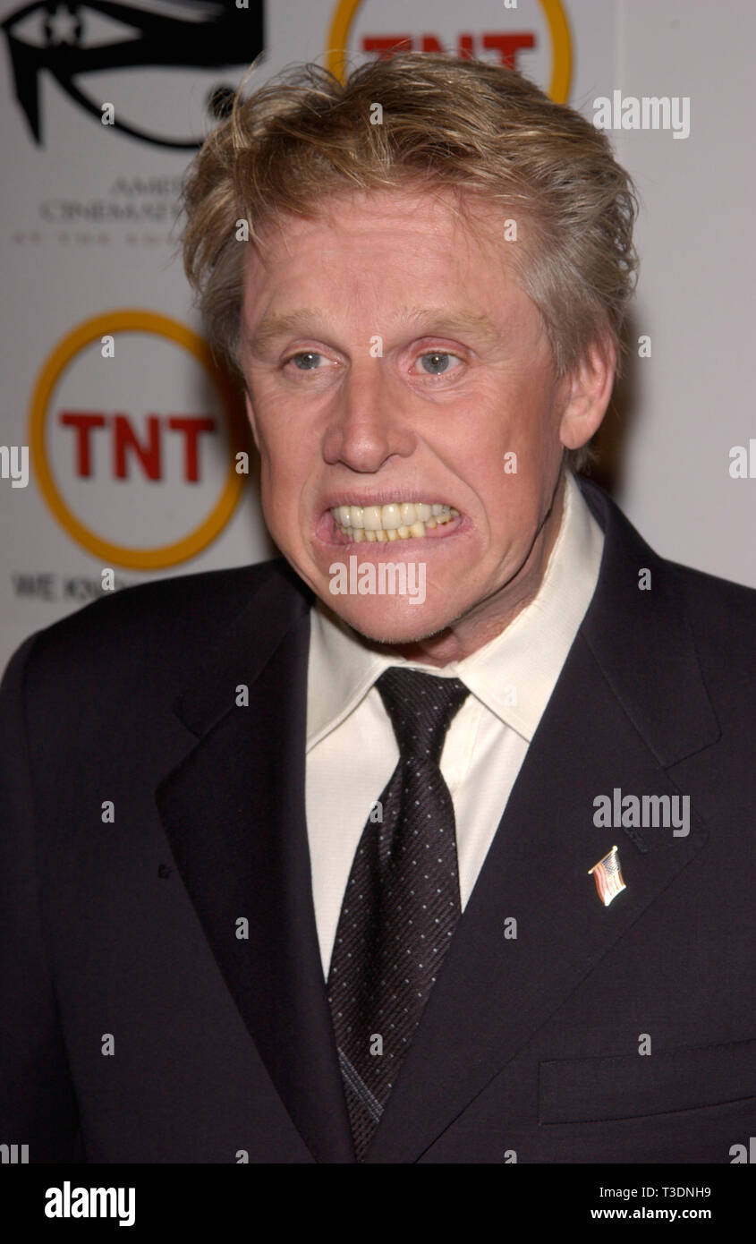 LOS ANGELES, CA. October 28, 2001: Actor GARY BUSEY at the 16th Annual ...