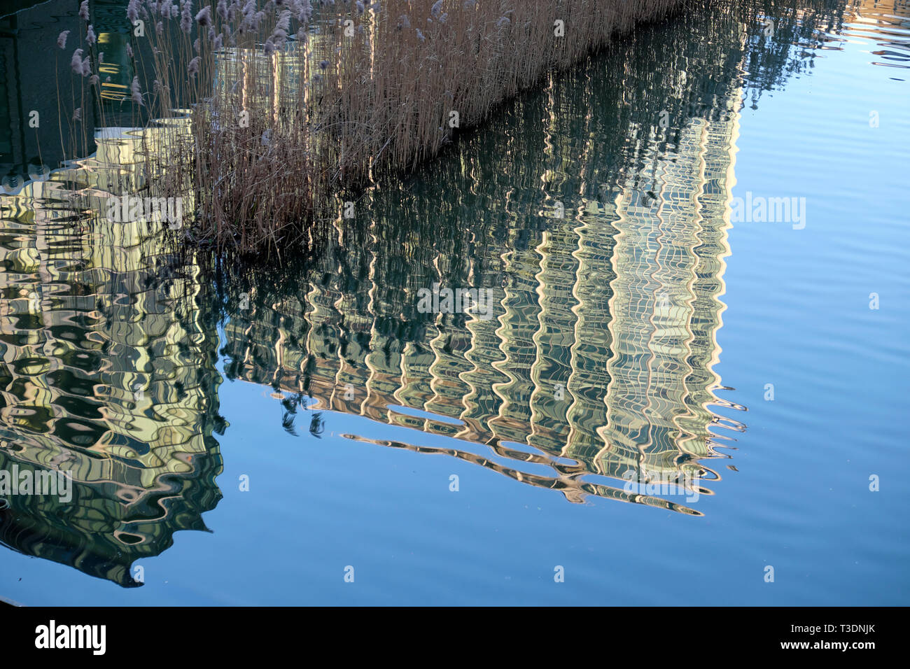 Reflection of Barbican Estate flats apartment building apartments in ...