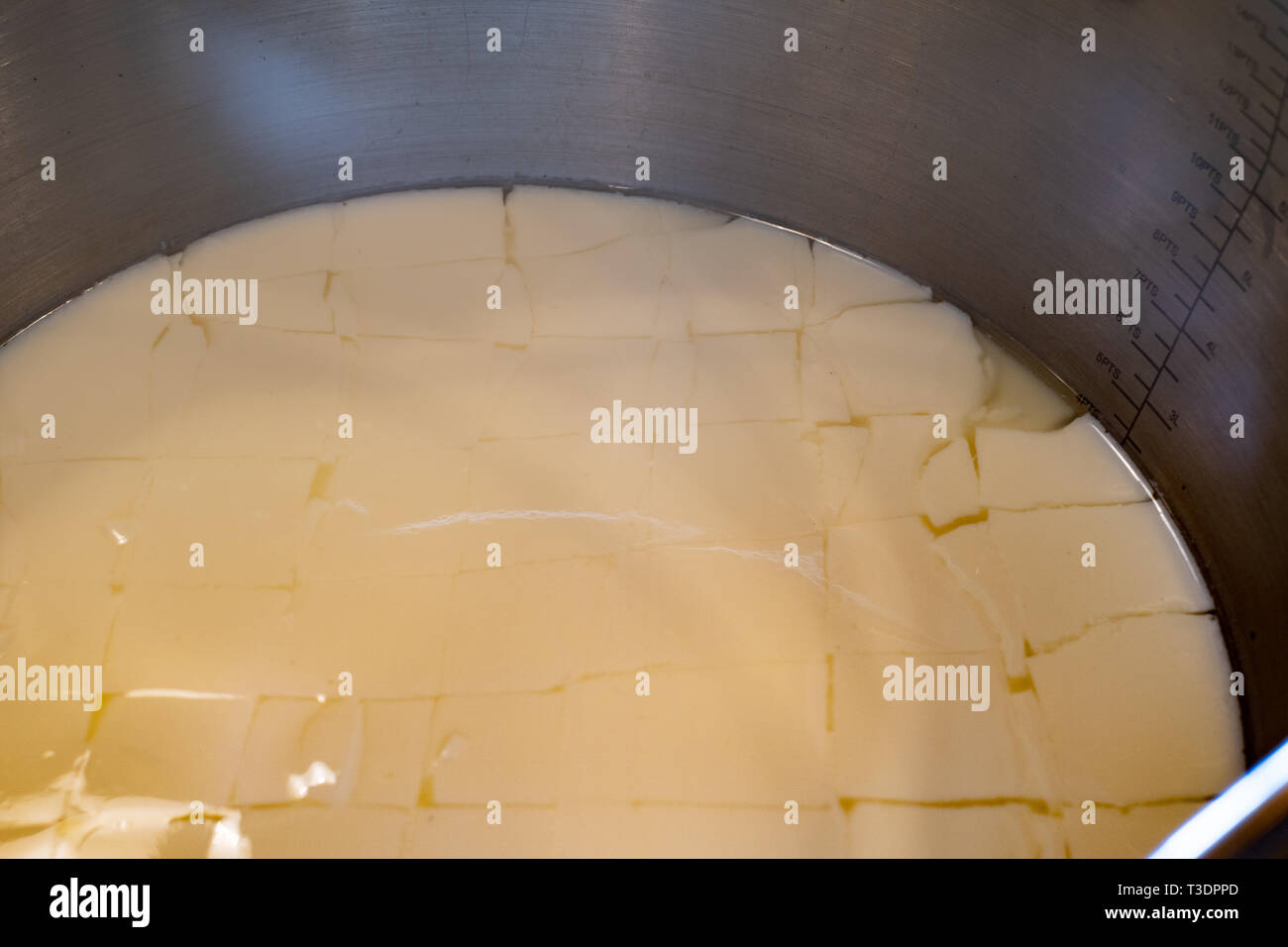 Fresh curds made from milk, making cheese Stock Photo - Alamy