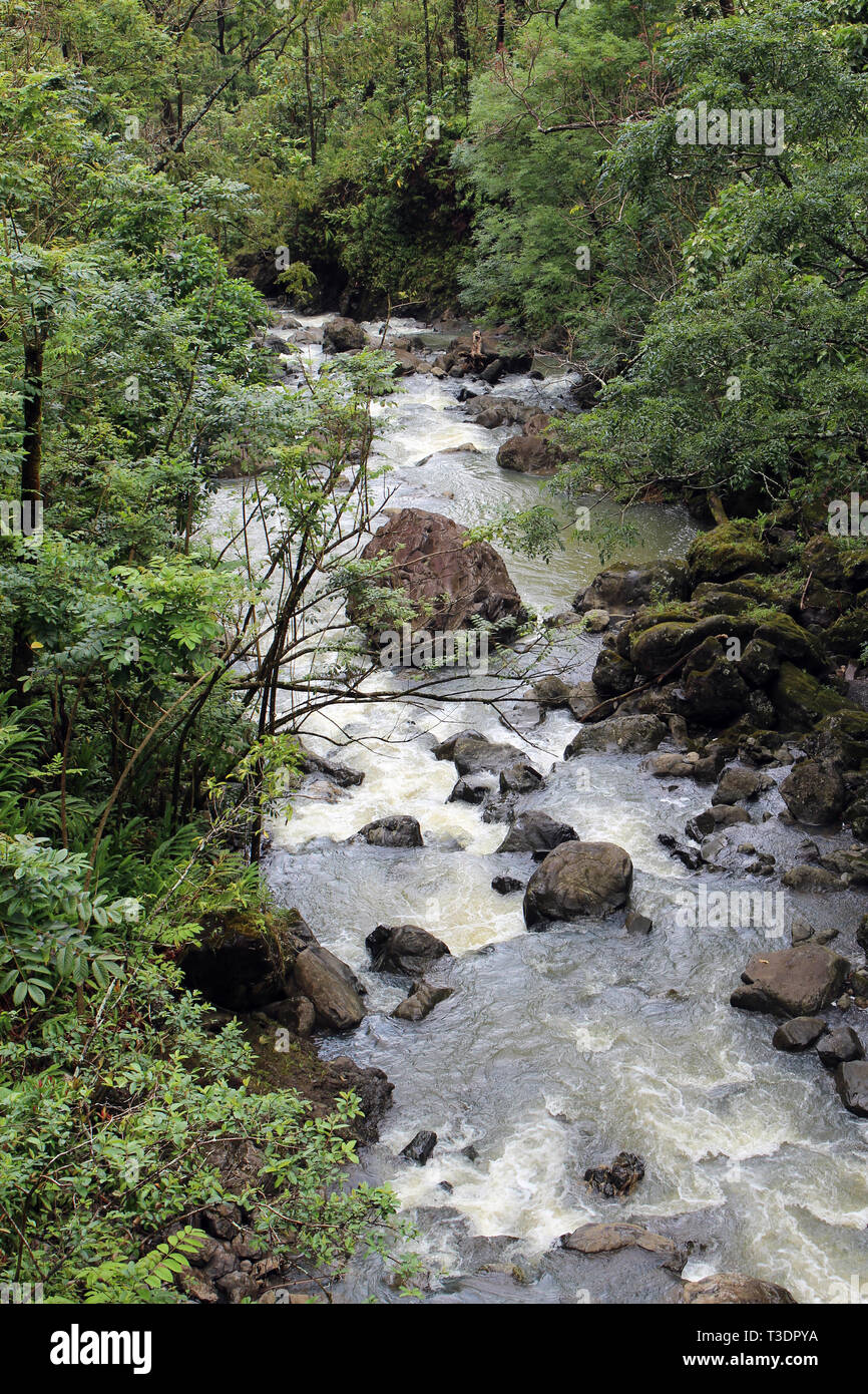 A rushing stream over rocks and boulders in a rainforest at Pua'a Ka'a ...