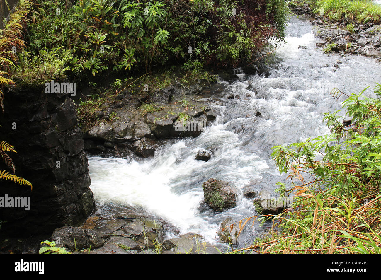 A rushing stream over rocks and boulders at Pua'a Ka'a Wayside Park ...