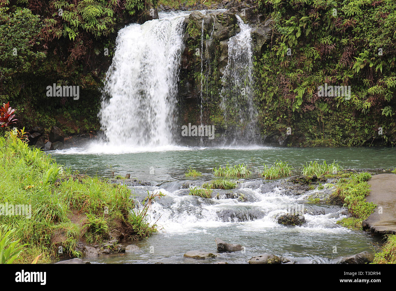 A rushing waterfall cascading over a volcanic hillside in a rainforest ...