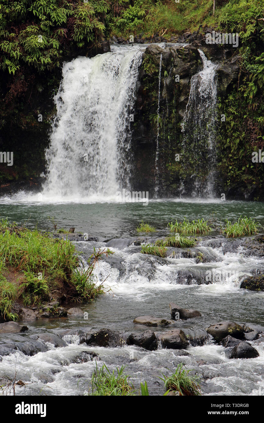 A rushing waterfall cascading over a volcanic hillside in a rainforest ...