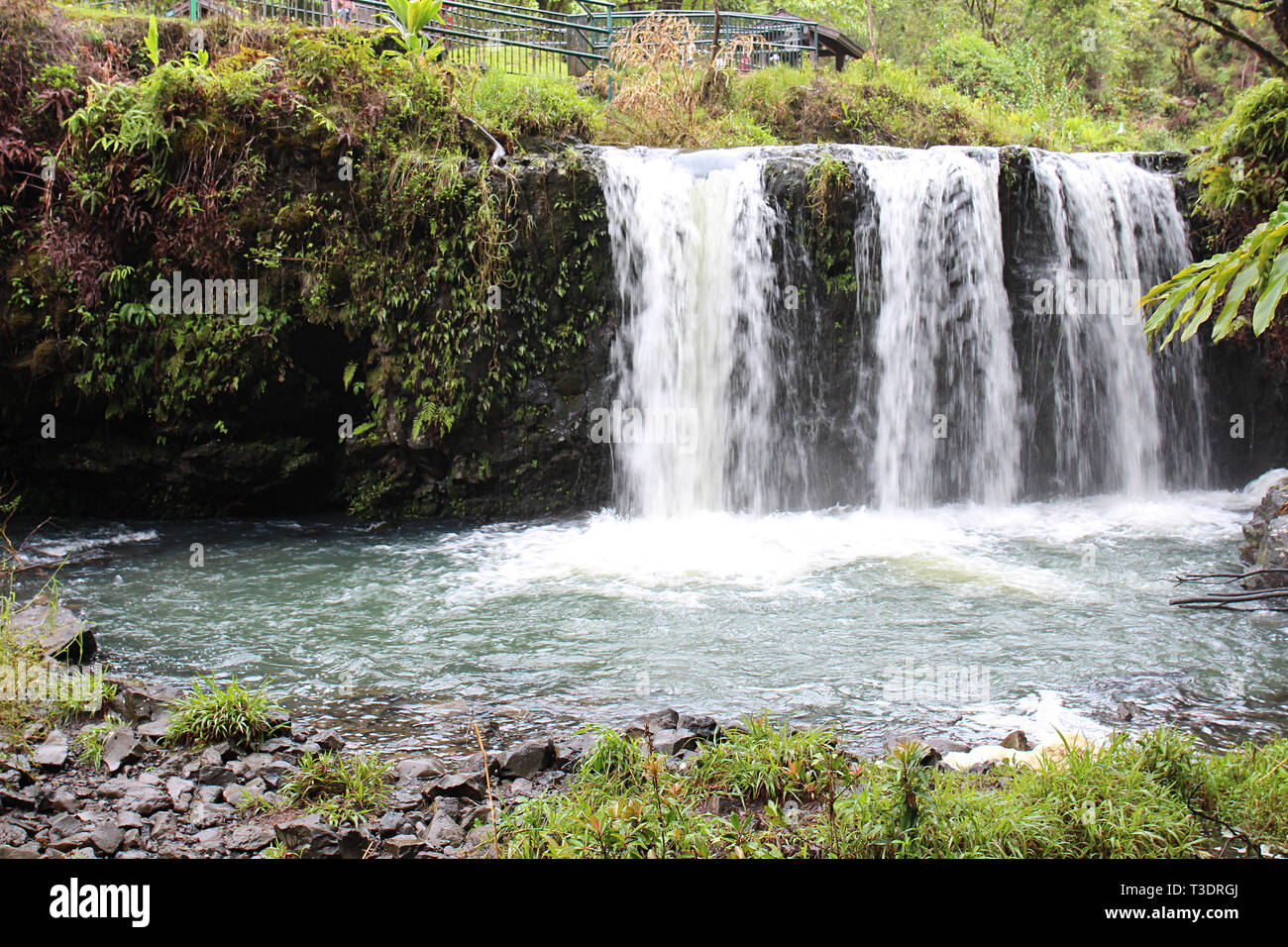 Three rushing waterfalls cascading over a volcanic hillside in a ...