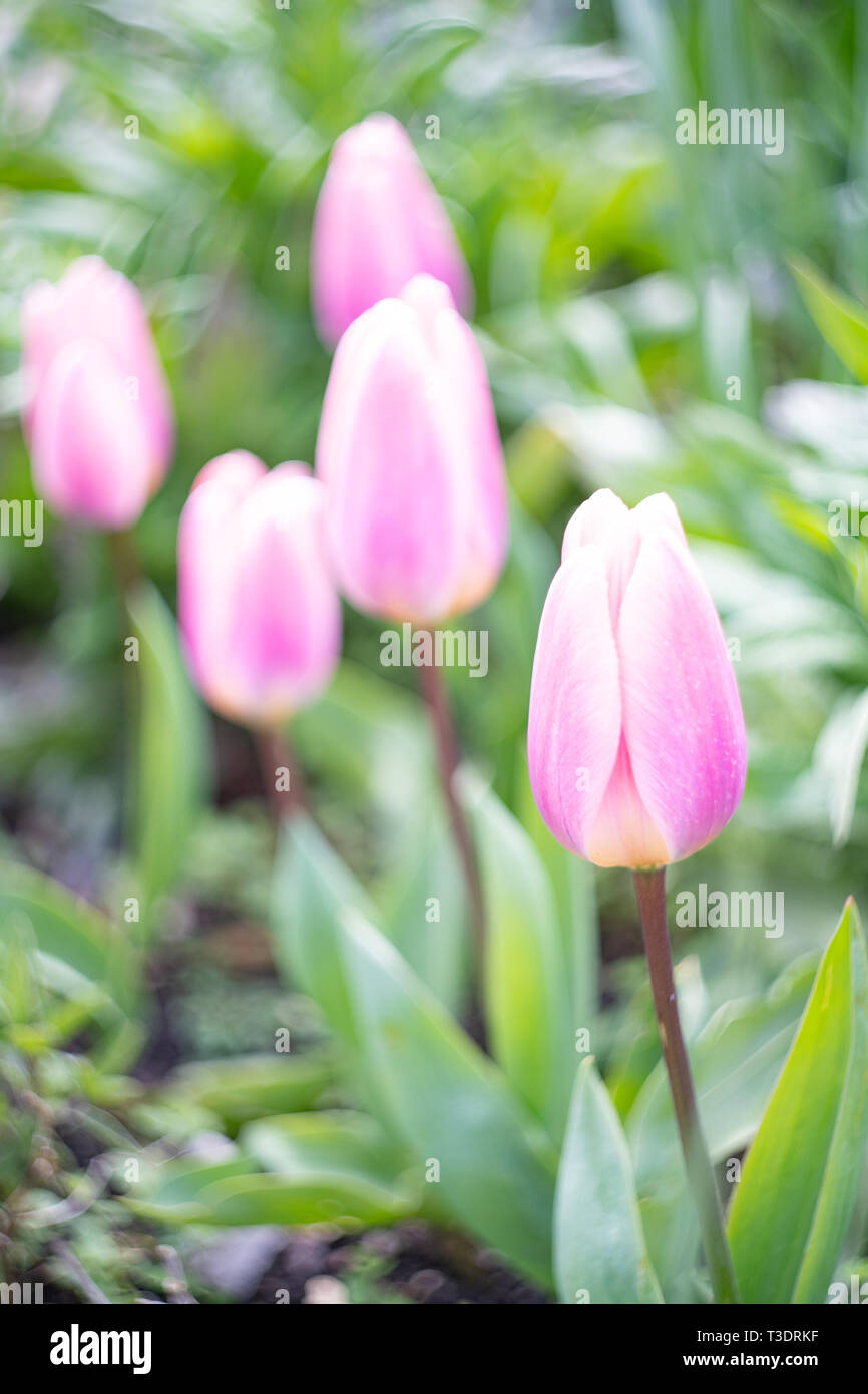 Helios park hi-res stock photography and images - Alamy