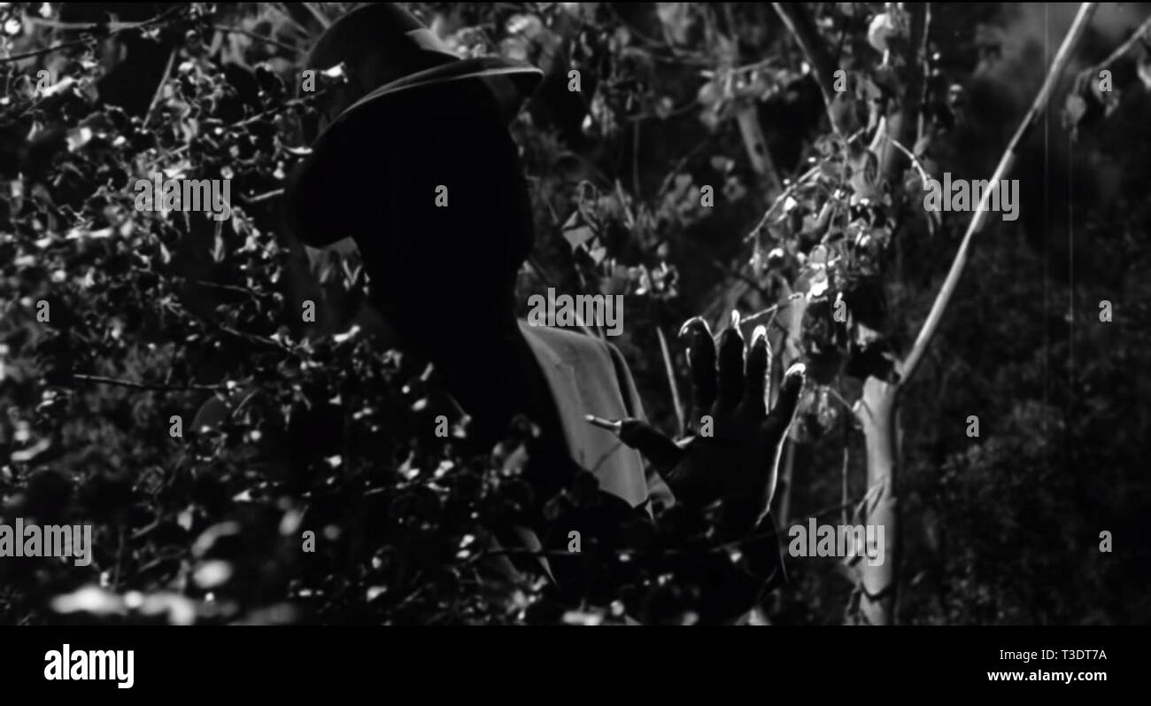 The Bat is an American mystery film from 1959 starring Vincent Price ...