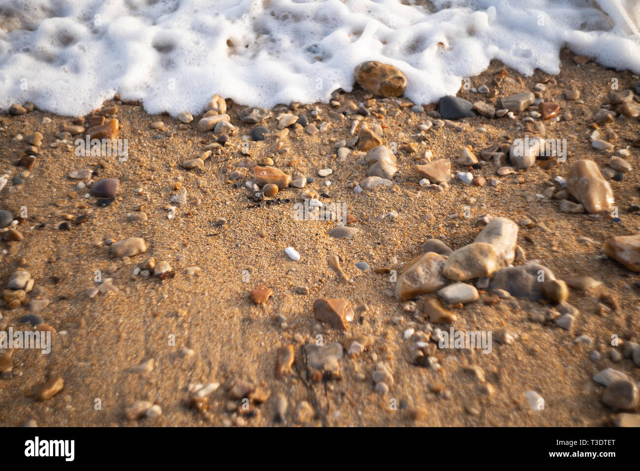 Tide is coming in or going out hi-res stock photography and images - Alamy
