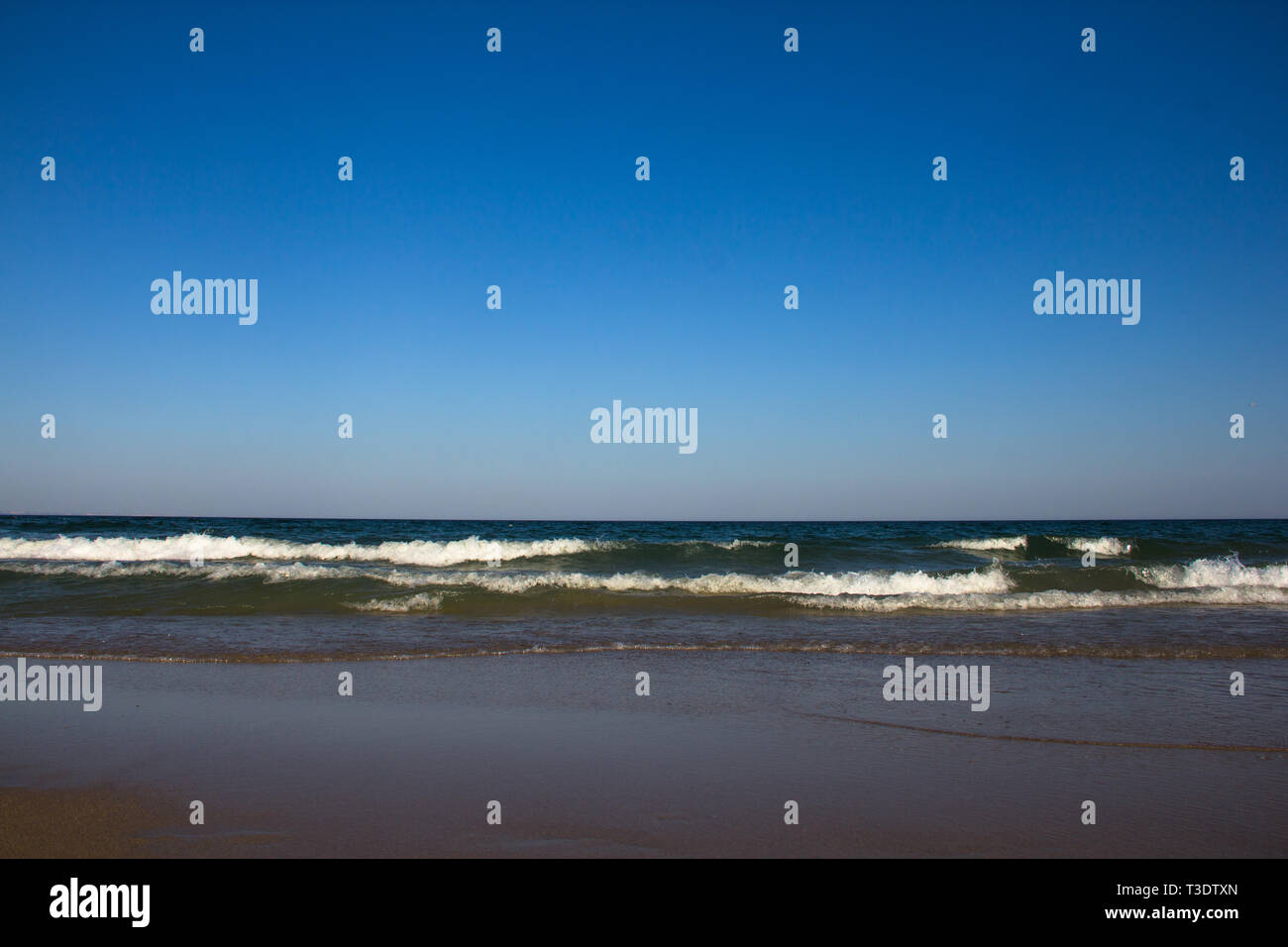 Kranevo hi-res stock photography and images - Alamy