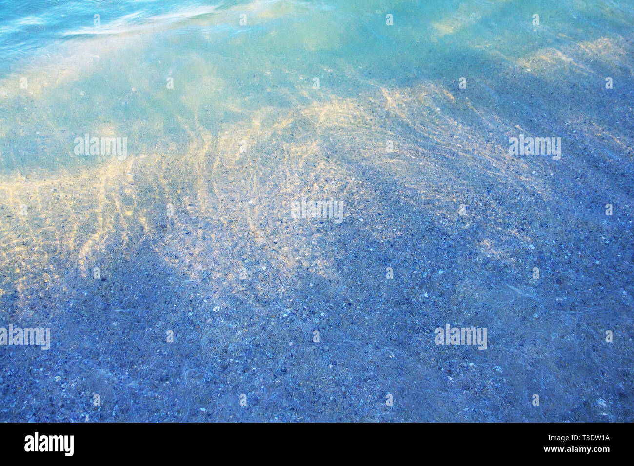 Kranevo hi-res stock photography and images - Alamy