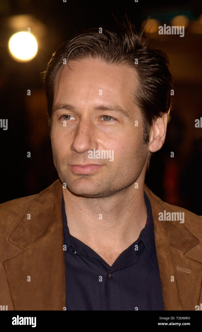 LOS ANGELES, CA. December 05, 2001: Actor DAVID DUCHOVNY at the world ...
