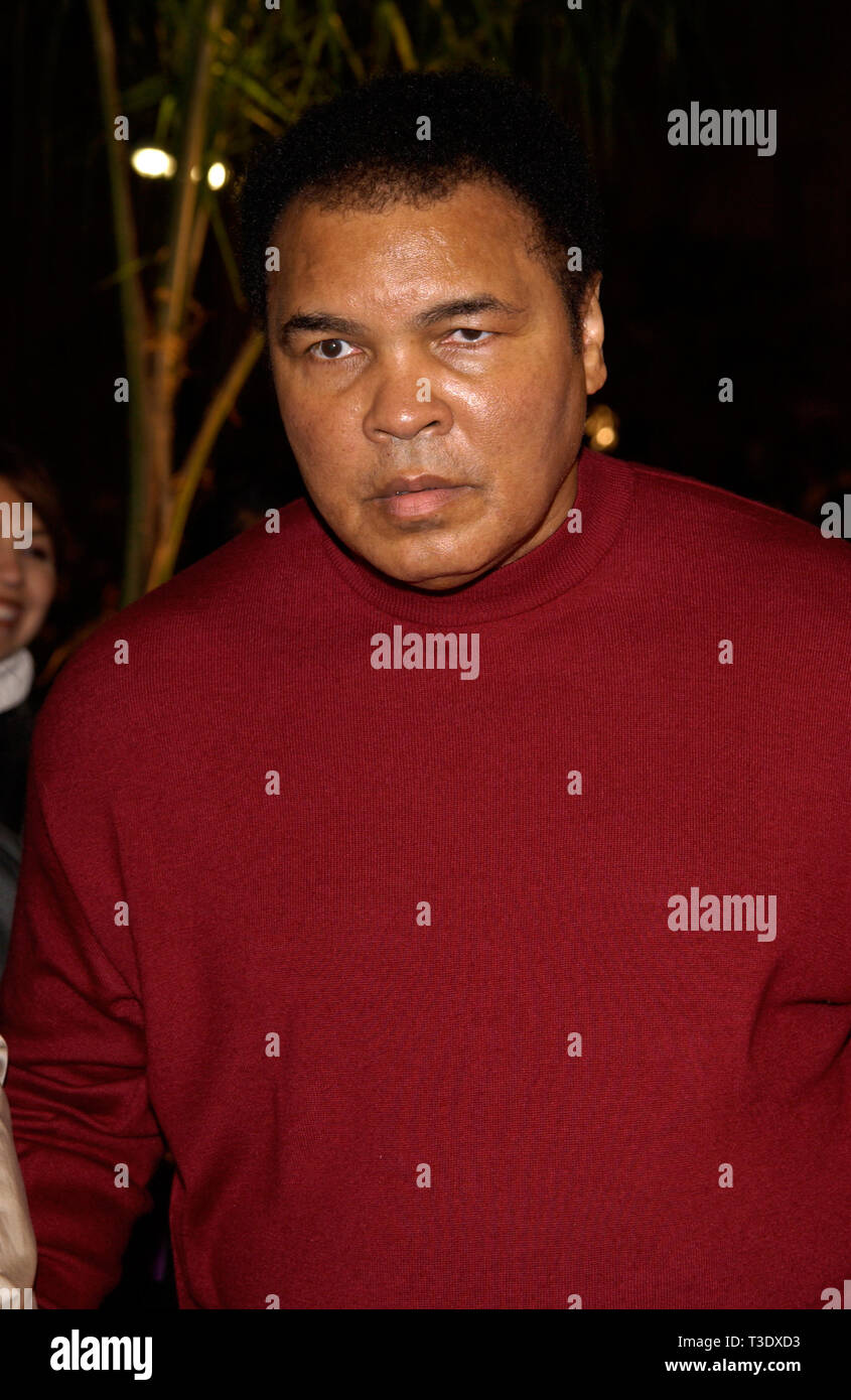 LOS ANGELES, CA. December 12, 2001: Former world heavyweight boxing ...