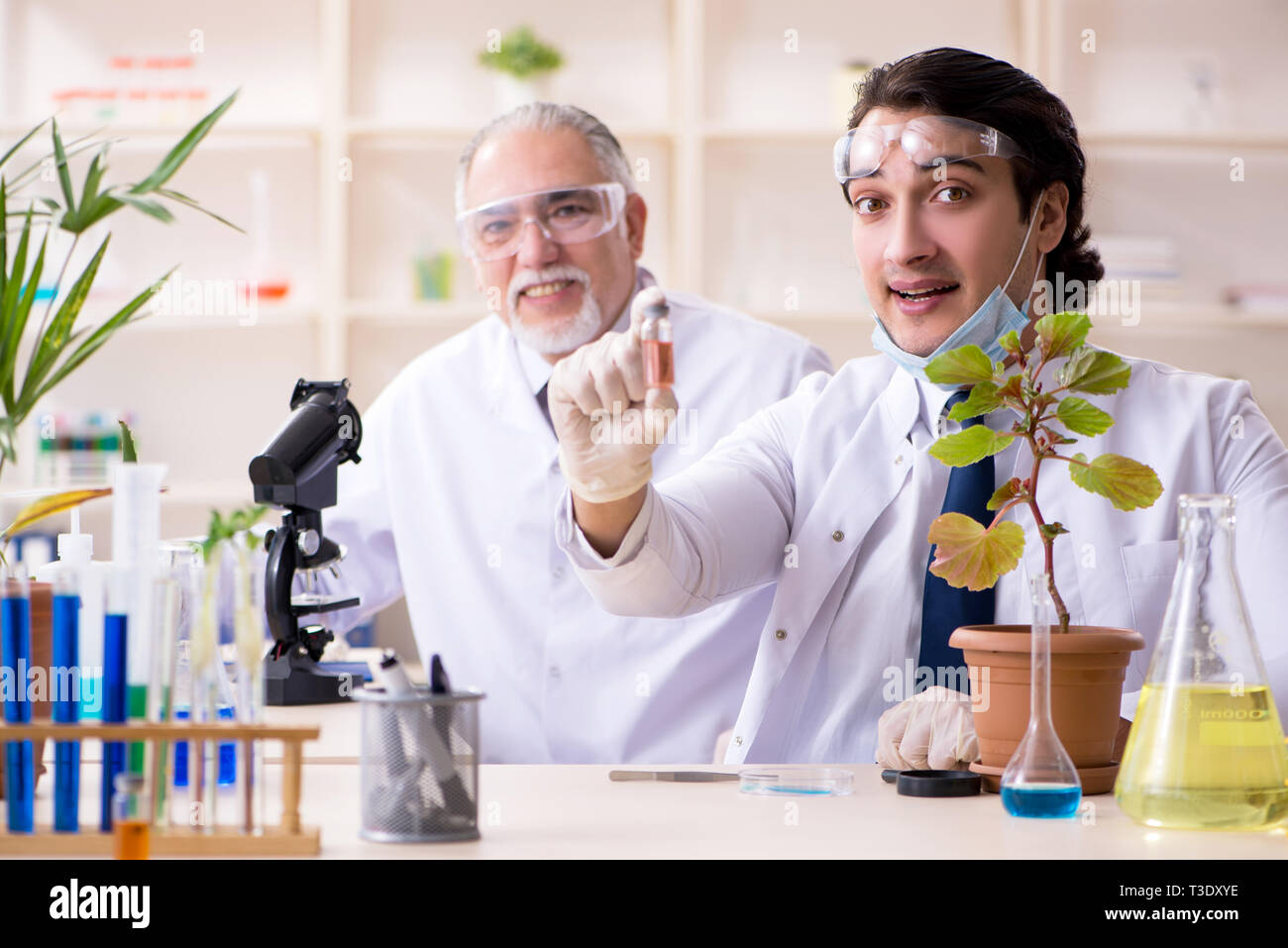 Two chemists working in the lab Stock Photo - Alamy