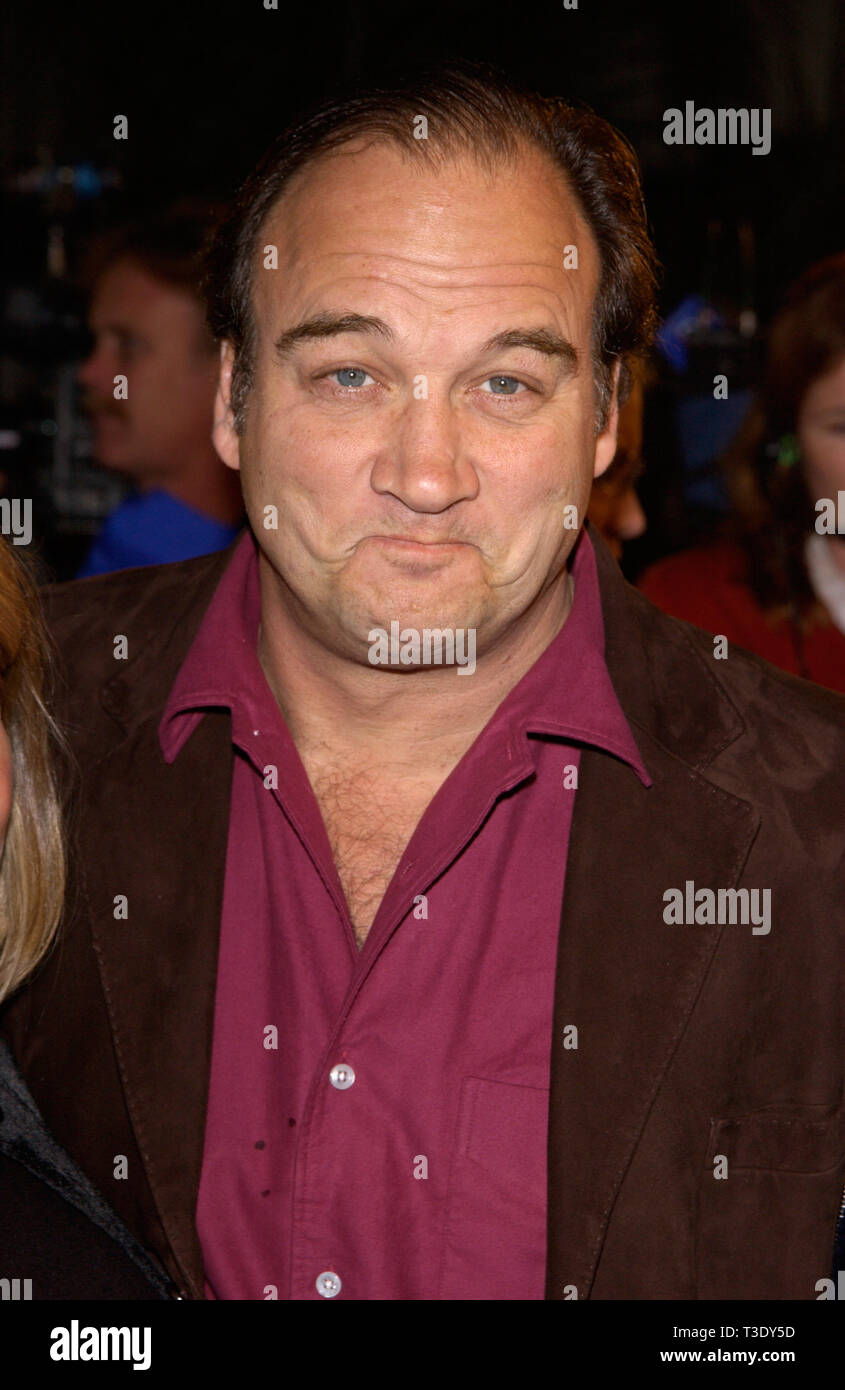 LOS ANGELES, CA. December 19, 2001: Actor JIM BELUSHI at the Los ...