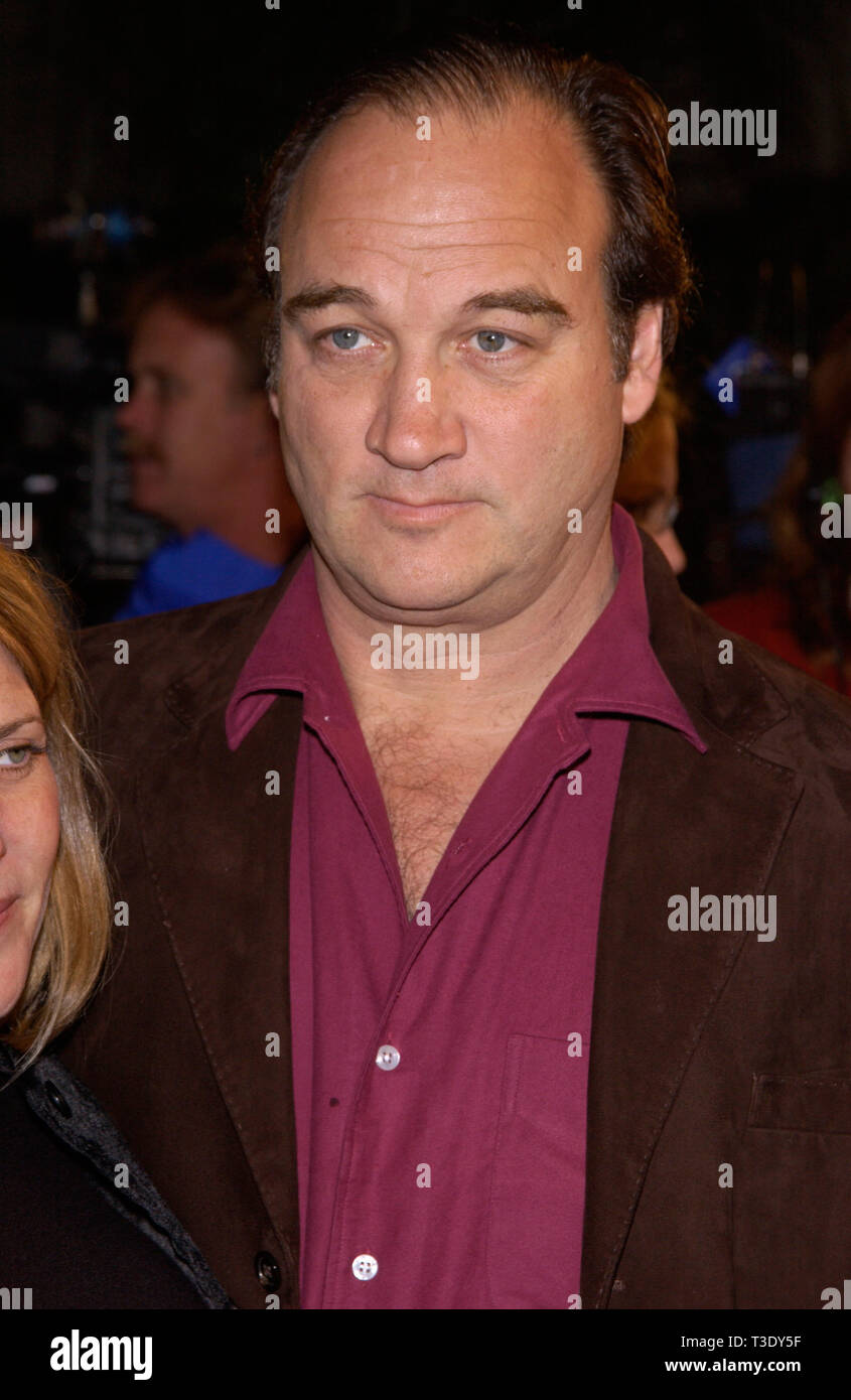 LOS ANGELES, CA. December 19, 2001: Actor JIM BELUSHI at the Los ...