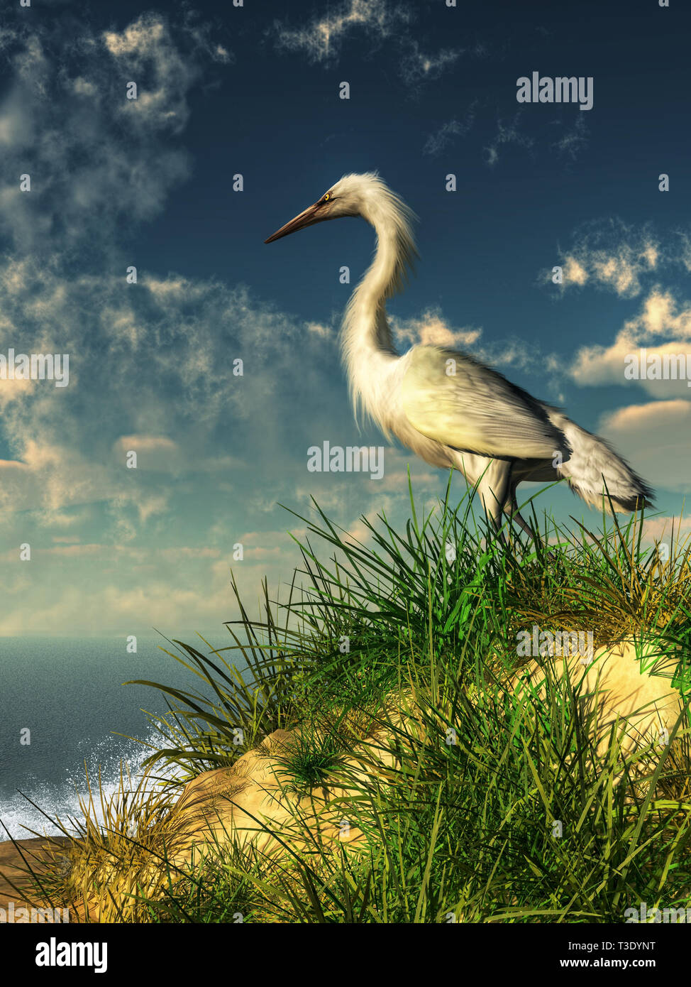 A snowy white egret stands on a sand dune that overlooks the ocean ...