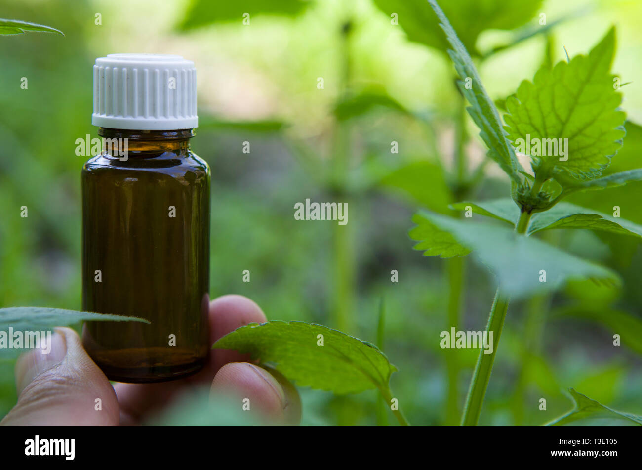 Bio regeneration hi-res stock photography and images - Alamy