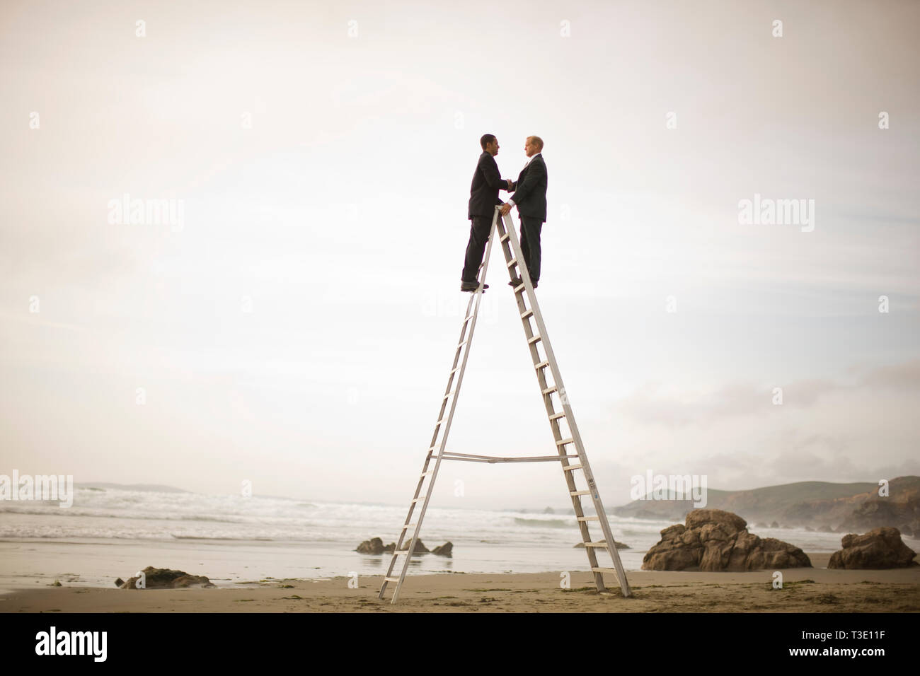 Businessmen shaking hands on ladder at beach Stock Photo - Alamy