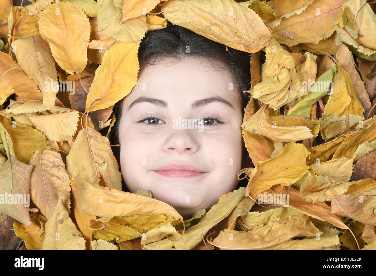 Face of little smile girl on the background of autumn leaves Stock ...