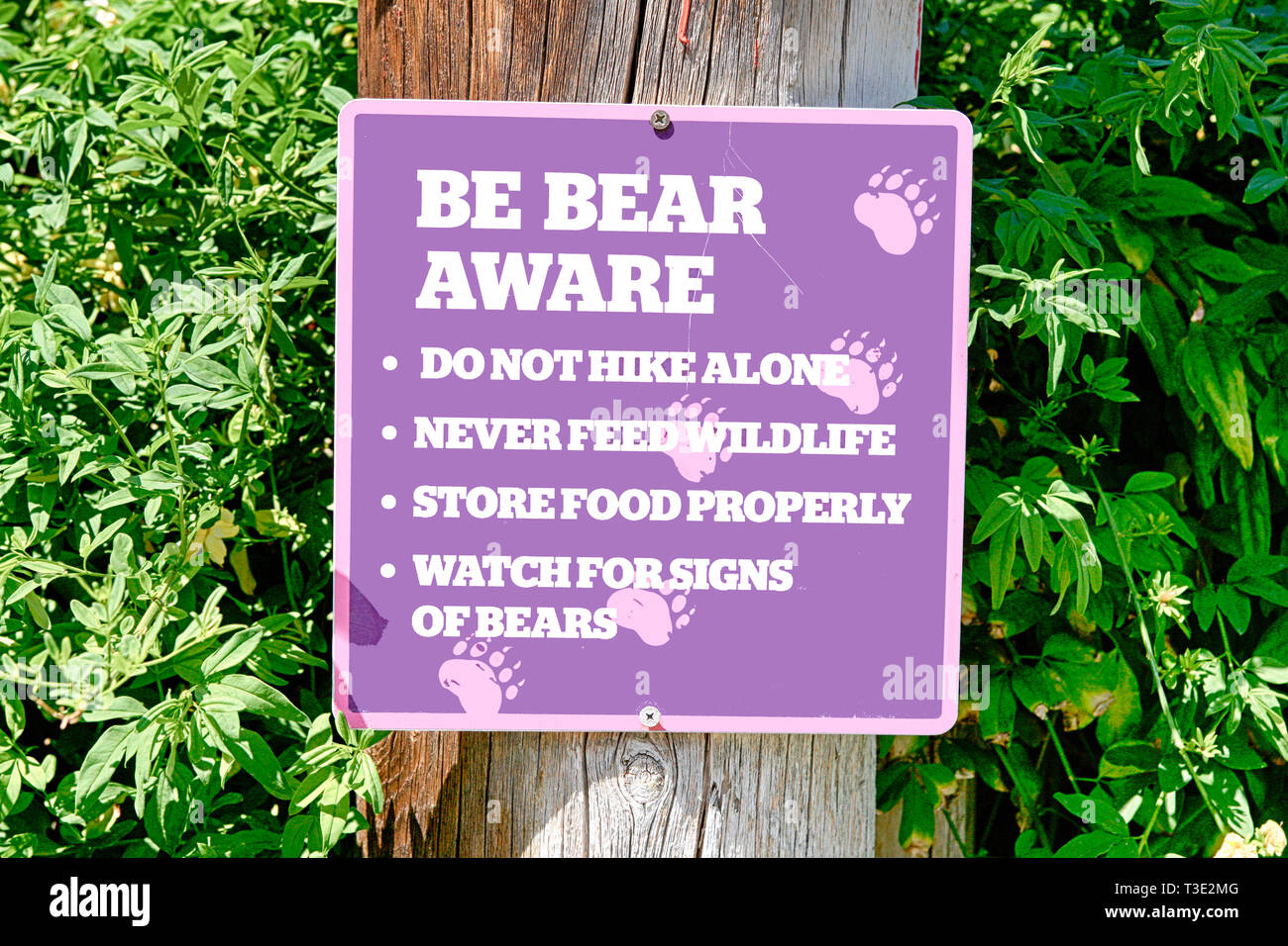 Bear Education sign designed to keep people safe and bears safe too ...