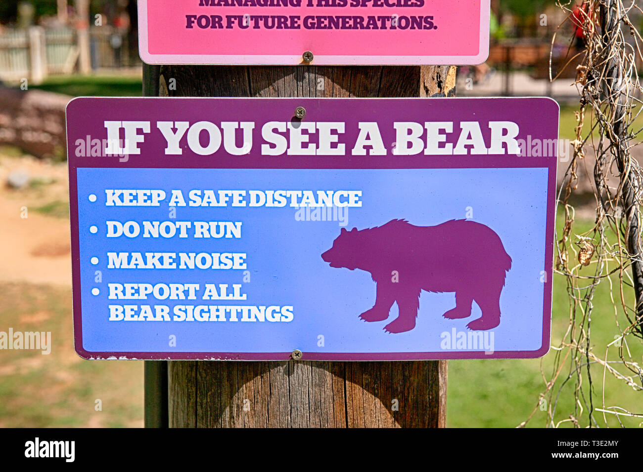 Bear Education sign designed to keep people safe and bears safe too ...