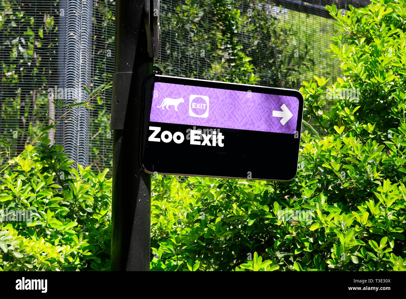 Exit sign with arrow hi-res stock photography and images - Alamy