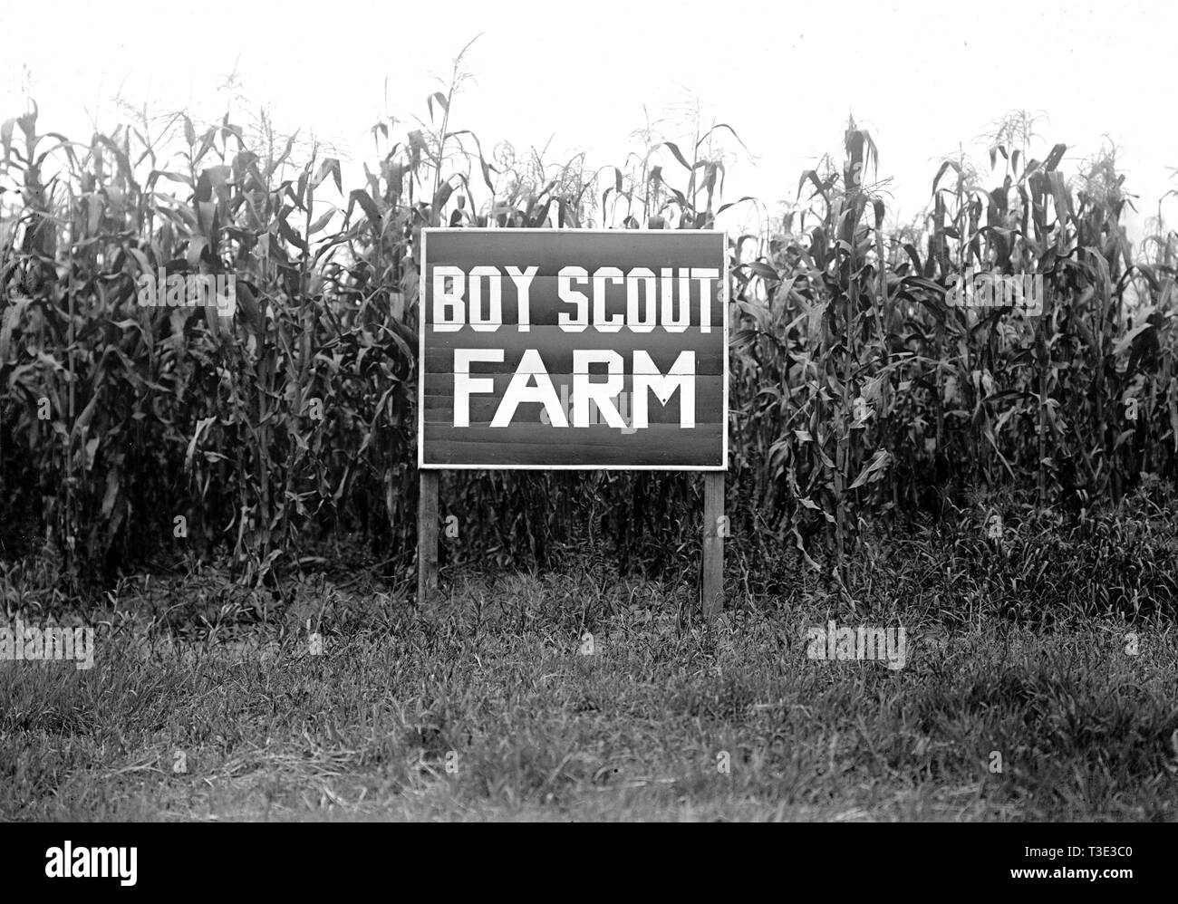 Boy Scout Farm sign ca. 1917 Stock Photo - Alamy