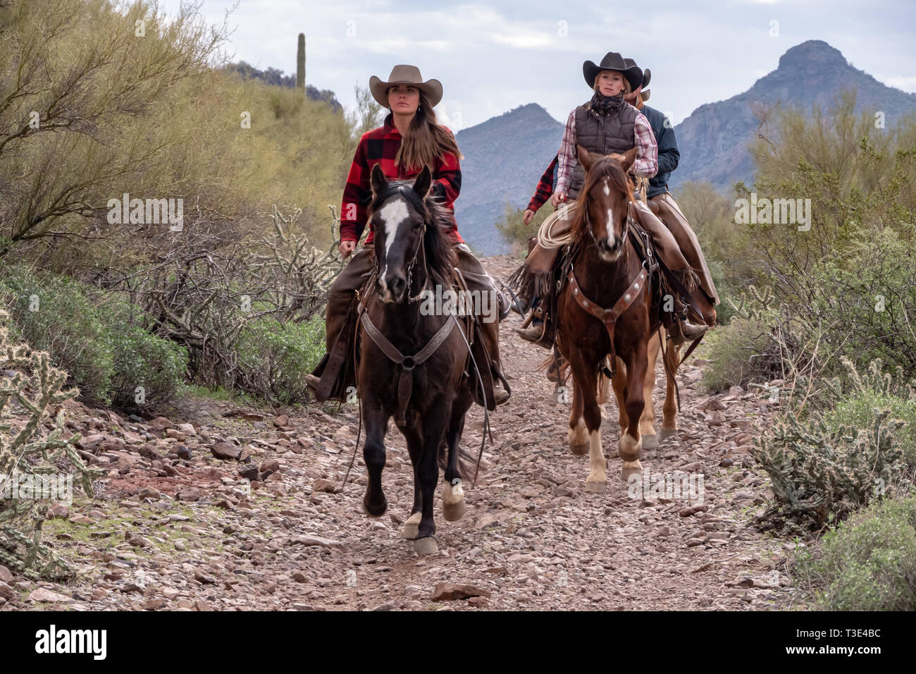 American cowboys ride their mounts in the desert scene around ...