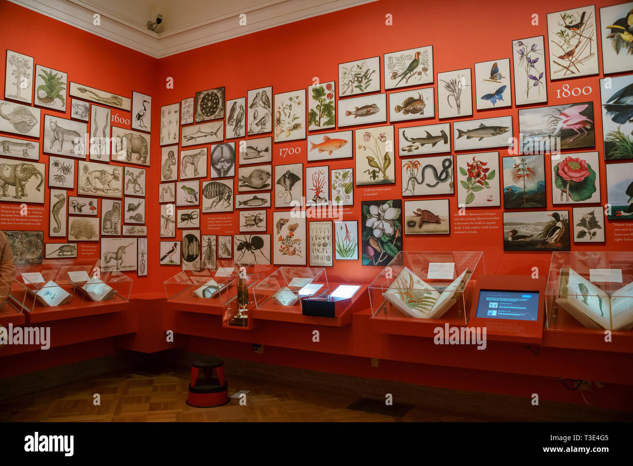Los Angeles, APR 5: Interior view of the library of Huntington Library ...