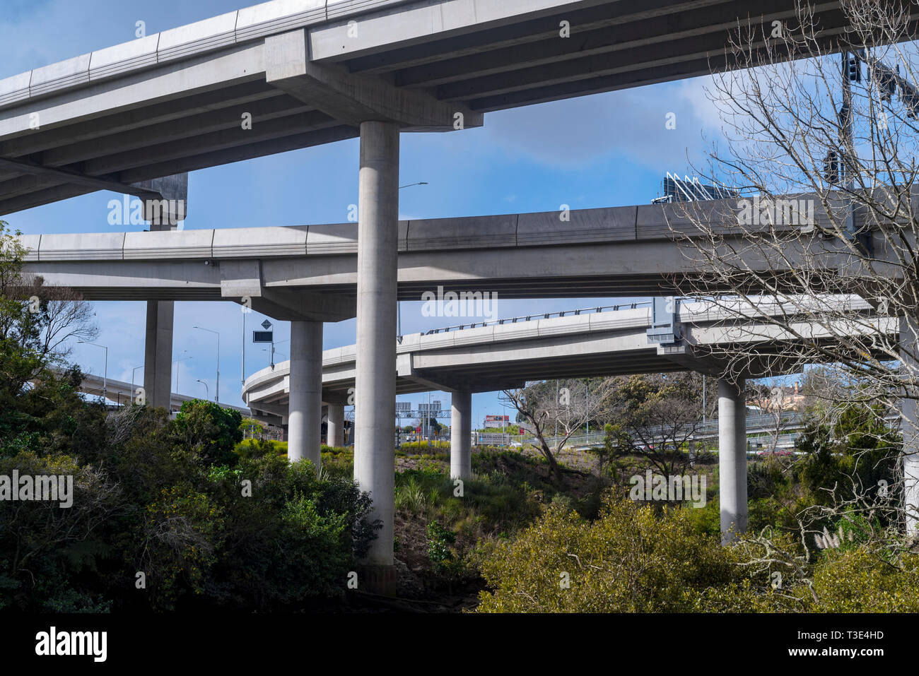 Auckland Bridges High Resolution Stock Photography and Images - Alamy