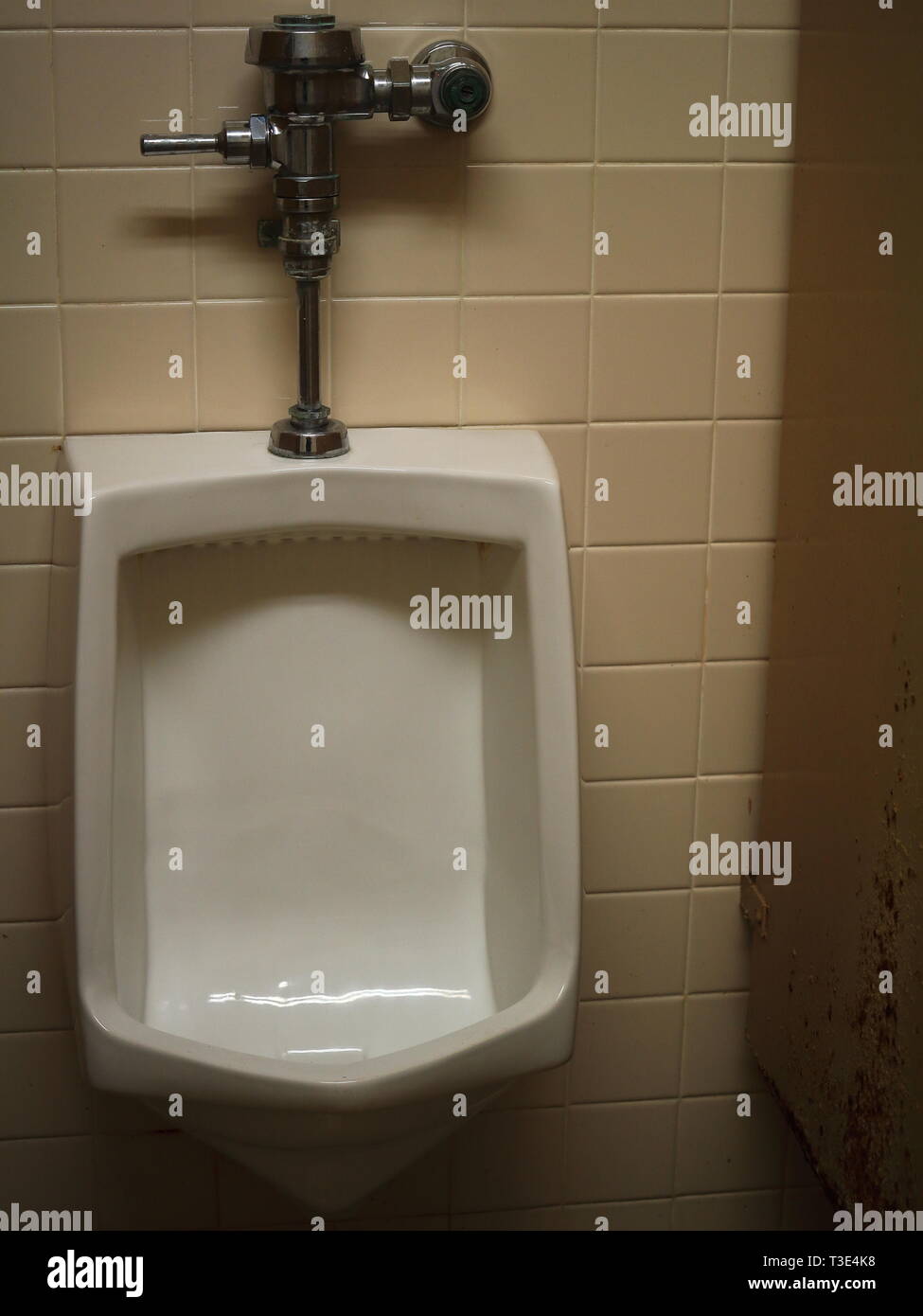 Enclosed Urinal Stall at Barbara Ridgley blog