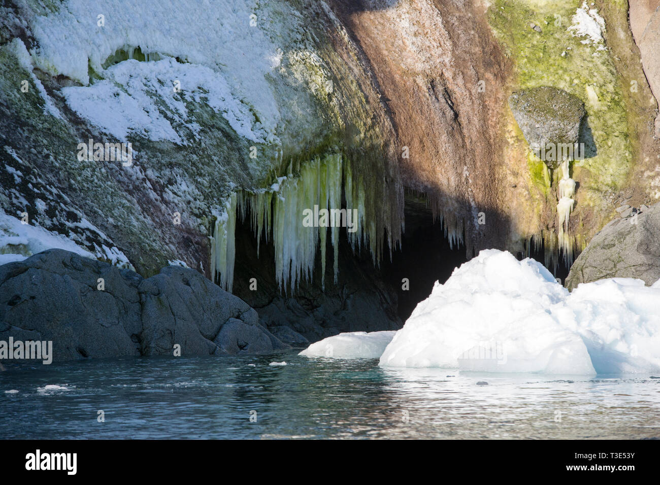Algae in ice on Heroina Island, Weddell Sea, Antarctica Stock Photo - Alamy