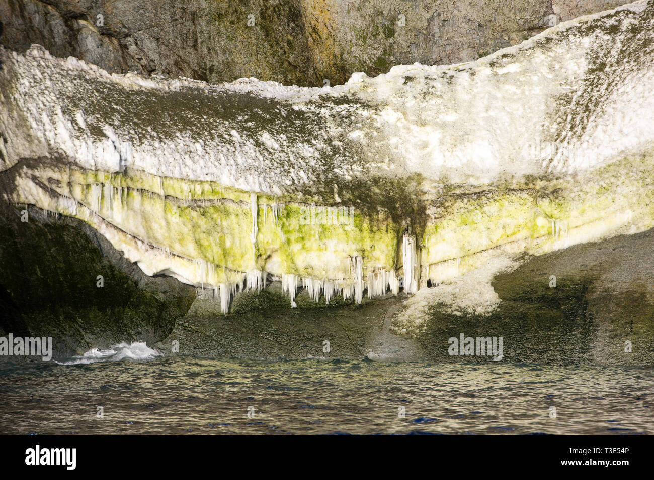 Algae Sea Ice High Resolution Stock Photography and Images - Alamy