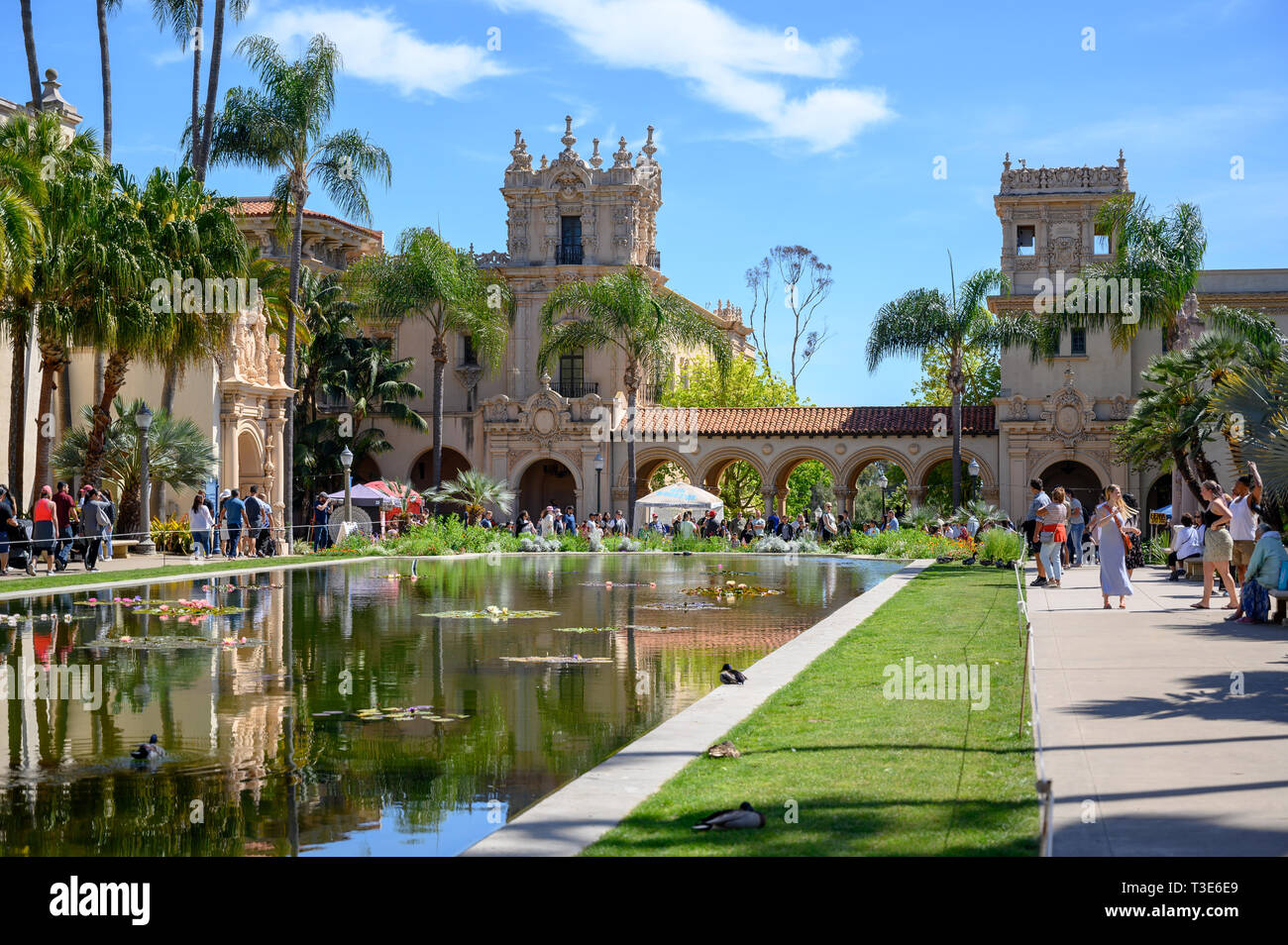 06 April 2019, San Diego California. Crowded Lily Pond in the Balboa ...