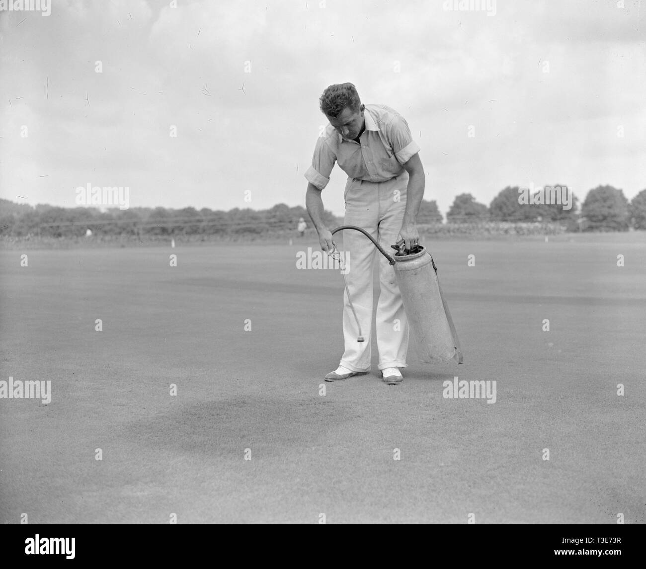 Experts united Black and White Stock Photos & Images - Alamy